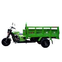 China 175cc Engine 800 W power DAYANG Heavy-duty Three Wheels Motorcycles for Global Market for sale