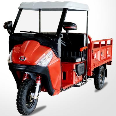 China DAYANG C2 175CC Gasoline Engine Cargo Tricycle Lightweight and Ideal for Narrow Roads for sale
