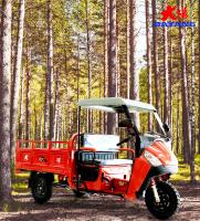 China DAYANG C2 175CC Gasoline Engine Cargo Tricycle Lightweight and Ideal for Narrow Roads for sale