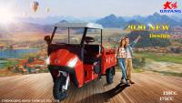 China DAYANG C2 175CC Gasoline Engine Cargo Tricycle Lightweight and Ideal for Narrow Roads for sale