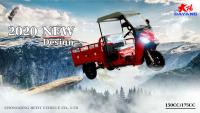 China DAYANG C2 175CC Gasoline Engine Cargo Tricycle Lightweight and Ideal for Narrow Roads for sale
