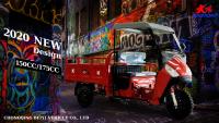 China DAYANG C2 175CC Gasoline Engine Cargo Tricycle Lightweight and Ideal for Narrow Roads for sale