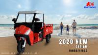 China DAYANG C2 175CC Gasoline Engine Cargo Tricycle Lightweight and Ideal for Narrow Roads for sale