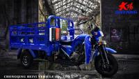 China DAYANG DY-Q2 175cc Africa Heavy Load Motor Tricycle 3150 mm Length 4.5 Load Capacity for sale