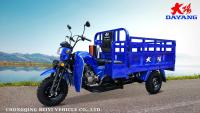 China DAYANG DY-Q2 175cc Africa Heavy Load Motor Tricycle 3150 mm Length 4.5 Load Capacity for sale