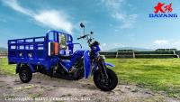 China DAYANG DY-Q2 175cc Africa Heavy Load Motor Tricycle 3150 mm Length 4.5 Load Capacity for sale