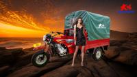 China DAYANG Model Prince Cargo Tricycle with Tarp and Fuel Type Gasoline Made in 320 * 80 for sale