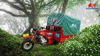 China DAYANG Model Prince Cargo Tricycle with Tarp and Fuel Type Gasoline Made in 320 * 80 for sale