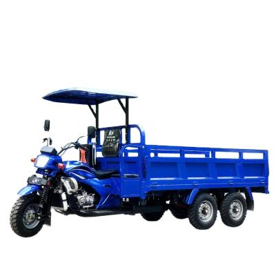 China 5.00-12/5.00-12 Tyre DAYANG 300cc Double Rear Axle Motorized Tricycle for Heavy Loads for sale