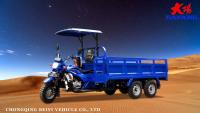 China 5.00-12/5.00-12 Tyre DAYANG 300cc Double Rear Axle Motorized Tricycle for Heavy Loads for sale