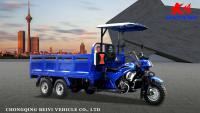 China 5.00-12/5.00-12 Tyre DAYANG 300cc Double Rear Axle Motorized Tricycle for Heavy Loads for sale