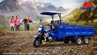 China 5.00-12/5.00-12 Tyre DAYANG 300cc Double Rear Axle Motorized Tricycle for Heavy Loads for sale