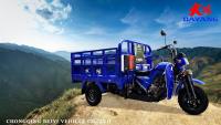 China DAYANG Heavy Loading Tricycle 175CC/200CC/250CC Q2 Cargo Tricycles for Cargo Delivery for sale