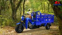 China DAYANG Heavy Loading Tricycle 175CC/200CC/250CC Q2 Cargo Tricycles for Cargo Delivery for sale