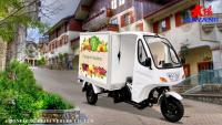 China DAYANG Closed Body Express Cargo Tricycle AIR-cooling Engine 4.5 inch for B2B Shipping for sale