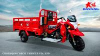 China 800W DAYANG DY-R1 RUITENG 250cc Cargo Tricycle for Heavy Duty CCC Three Wheels Motorcycle for sale