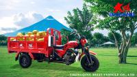 China DAYANG DY5 150 200 250CC Gasoline Engine Cargo Tricycle for Heavy Load Transportation for sale