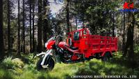 China DAYANG Cargo Tricycle with Rear Axle Floating Booster King Three Wheels Motorcycle for sale