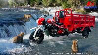 China DAYANG Cargo Tricycle with Rear Axle Floating Booster King Three Wheels Motorcycle for sale