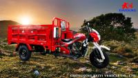 China DAYANG Cargo Tricycle with Rear Axle Floating Booster King Three Wheels Motorcycle for sale