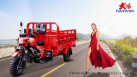 China Boost Your Farm Efficiency with Upgraded Design Gasoline Engine Tricycle from Wuyang for sale
