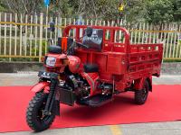 China Boost Your Farm Efficiency with Upgraded Design Gasoline Engine Tricycle from Wuyang for sale