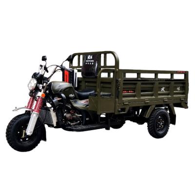 China DAYANG Motorized Tricycle Cargo Tricycle Three Wheel Motorcycle with 12V Battery System for sale