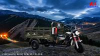 China DAYANG Motorized Tricycle Cargo Tricycle Three Wheel Motorcycle with 12V Battery System for sale