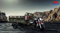 China DAYANG Motorized Tricycle Cargo Tricycle Three Wheel Motorcycle with 12V Battery System for sale