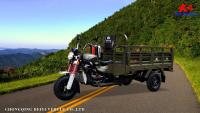 China DAYANG Motorized Tricycle Cargo Tricycle Three Wheel Motorcycle with 12V Battery System for sale