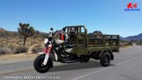 China DAYANG Motorized Tricycle Cargo Tricycle Three Wheel Motorcycle with 12V Battery System for sale