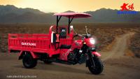 China DAYANG 350CC Water Cooled 5 Wheeler Gas Motorized Tricycle with and CCC Certification for sale