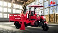 China DAYANG 350CC Water Cooled 5 Wheeler Gas Motorized Tricycle with and CCC Certification for sale