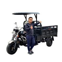 China DAYANG Prince Grey Motorized Tricycles with 200CC Engine and 1000kg Loading Capacity for sale