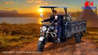 China DAYANG Prince Grey Motorized Tricycles with 200CC Engine and 1000kg Loading Capacity for sale