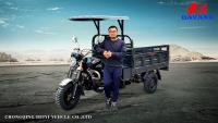 China DAYANG Prince Grey Motorized Tricycles with 200CC Engine and 1000kg Loading Capacity for sale