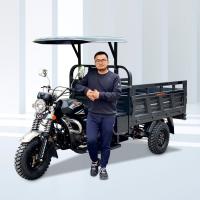 China DAYANG Prince Grey Motorized Tricycles with 200CC Engine and 1000kg Loading Capacity for sale