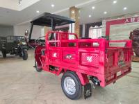 China DAYANG 150cc Truck Cargo 3wheels Motorcycle Tricycle with Customized Power Wheels for sale
