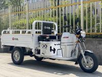 China DAYANG Classical Light Loading Truck Cargo Tricycle 150cc Longer Three Wheel Motorcycle for sale
