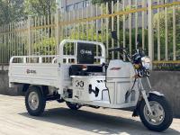 China Motorized 150cc Classical Light Loading Truck Cargo Tricycle with 4.0 Inch Wheels for sale