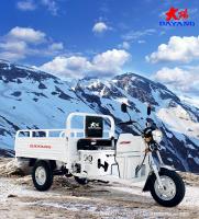 China Motorized 150cc Classical Light Loading Truck Cargo Tricycle with 4.0 Inch Wheels for sale