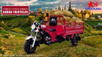 China DAYANG Prince 150CC/175CC/200CC Cargo Tricycle for Africa and Southeast Asia Market for sale