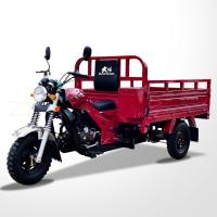 China DAYANG Prince 150CC/175CC/200CC Cargo Tricycle for Africa and Southeast Asia Market for sale