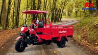 China Unleash the Power of DAYANG DY-H8 250cc/300cc/350cc Tricycle in Africa with 12V Engine for sale