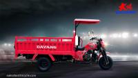 China Unleash the Power of DAYANG DY-H8 250cc/300cc/350cc Tricycle in Africa with 12V Engine for sale