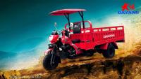 China Unleash the Power of DAYANG DY-H8 250cc/300cc/350cc Tricycle in Africa with 12V Engine for sale