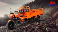 China Orange 800W Motorized Tricycles for Heavy Duty Three Wheels Motorcycles from Dayang for sale