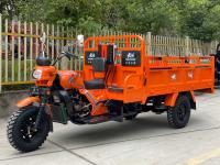 China Orange 800W Motorized Tricycles for Heavy Duty Three Wheels Motorcycles from Dayang for sale