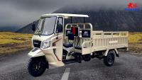 China 250cc 300C Cargo Tricycle Motorized Tricycle Gasoline 3 Wheels Motorcycle in Rose Gold for sale