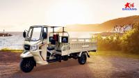 China 250cc 300C Cargo Tricycle Motorized Tricycle Gasoline 3 Wheels Motorcycle in Rose Gold for sale